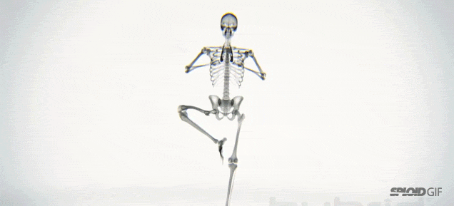 DIÁRIO INSANO: Como é o interior de seu corpo quando você está fazendo ioga