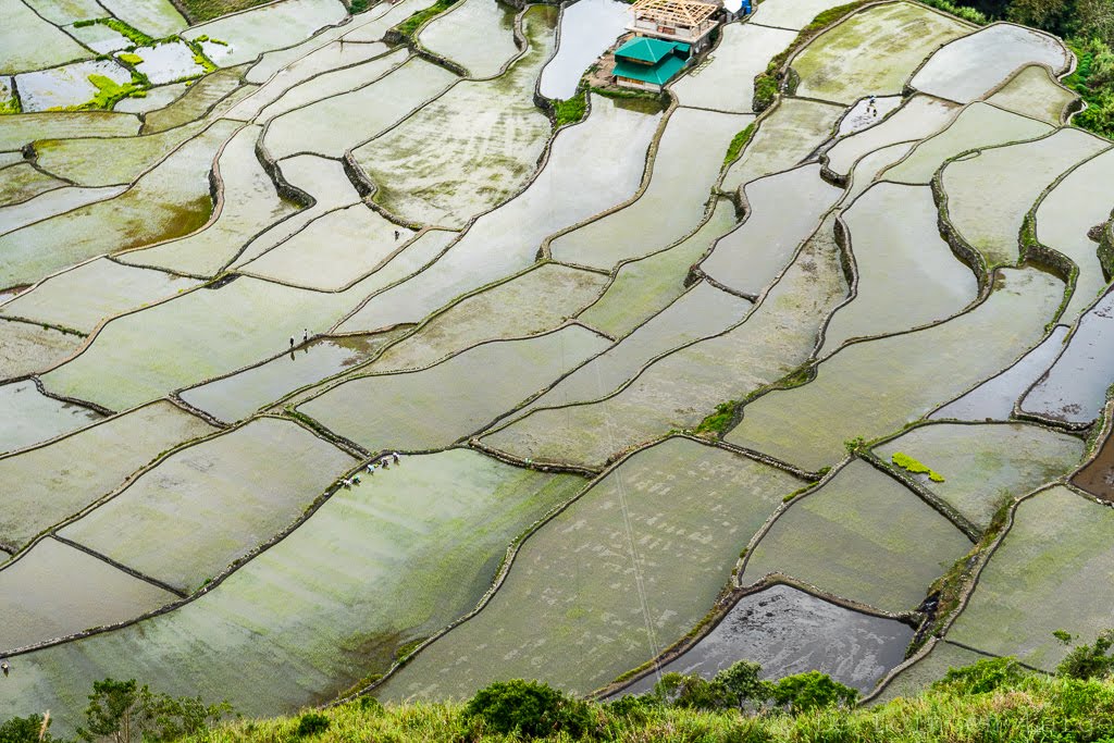 Philippines - jour 2 : Banaue - Buscalan - immersion au pays Kalinga