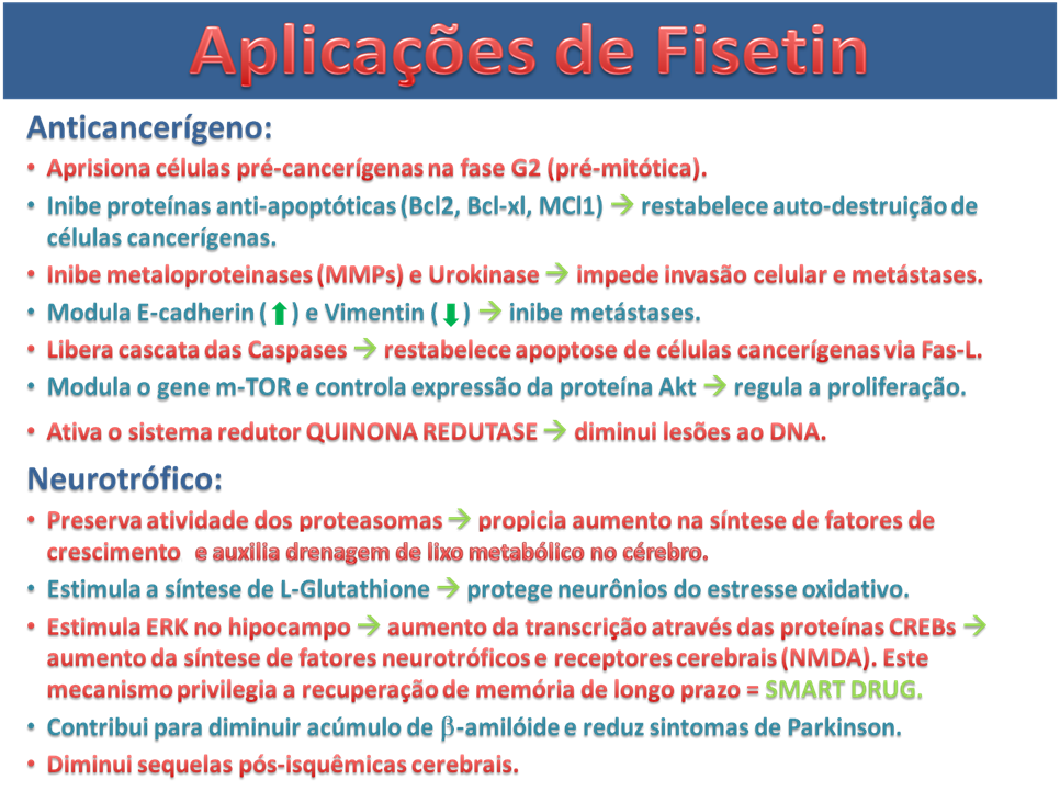 Saúde & Ciência: FISETINA e a FAMÍLIA FLAVONÓIDE