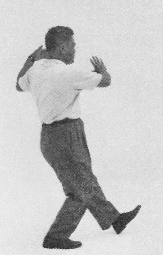 Tai Chi Chuan (Square Form) 24. Step Back And Repulse Monkey