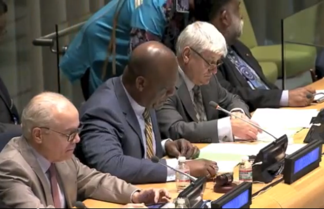 UNPFIP Network: Video Statements: UN HLPM Informal Consultations June 3 ...