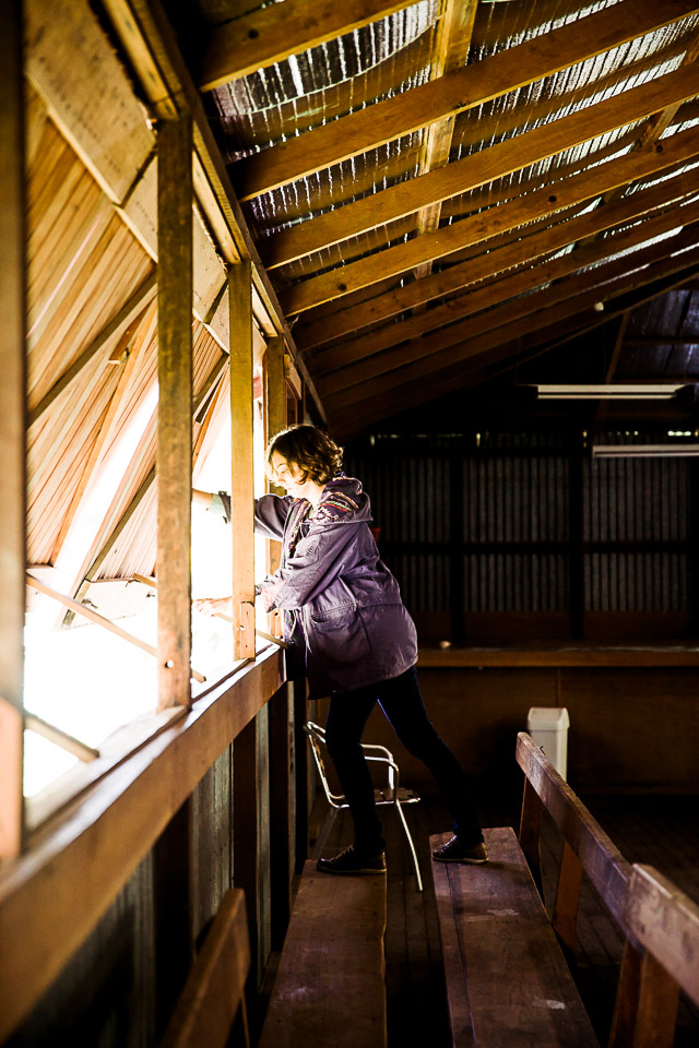 Ngaire Naran Photographer: Hall Hunting!