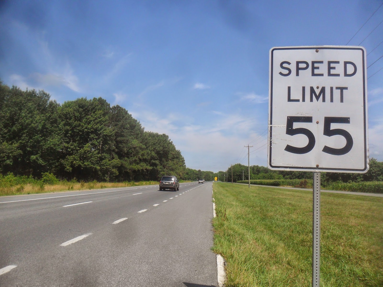 Luke's Signs: Route 13 & Route 50 - Eastern Shore of Maryland