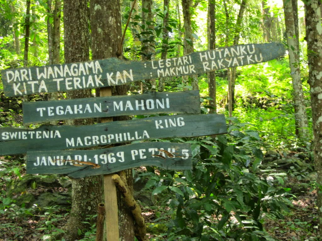 LOKASI TEMPAT WISATA JOGJA DAN SEKITARNYA: HUTAN WANAGAMA