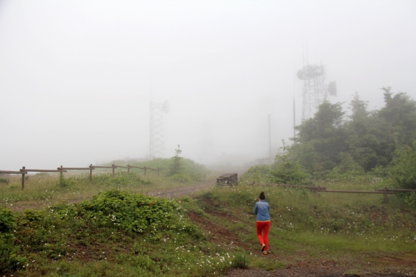 Tagabonds: Pacific City, OR + Mt. Hebo, OR