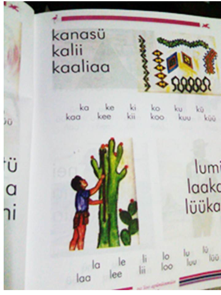 LENGUA WAYUU: julio 2016