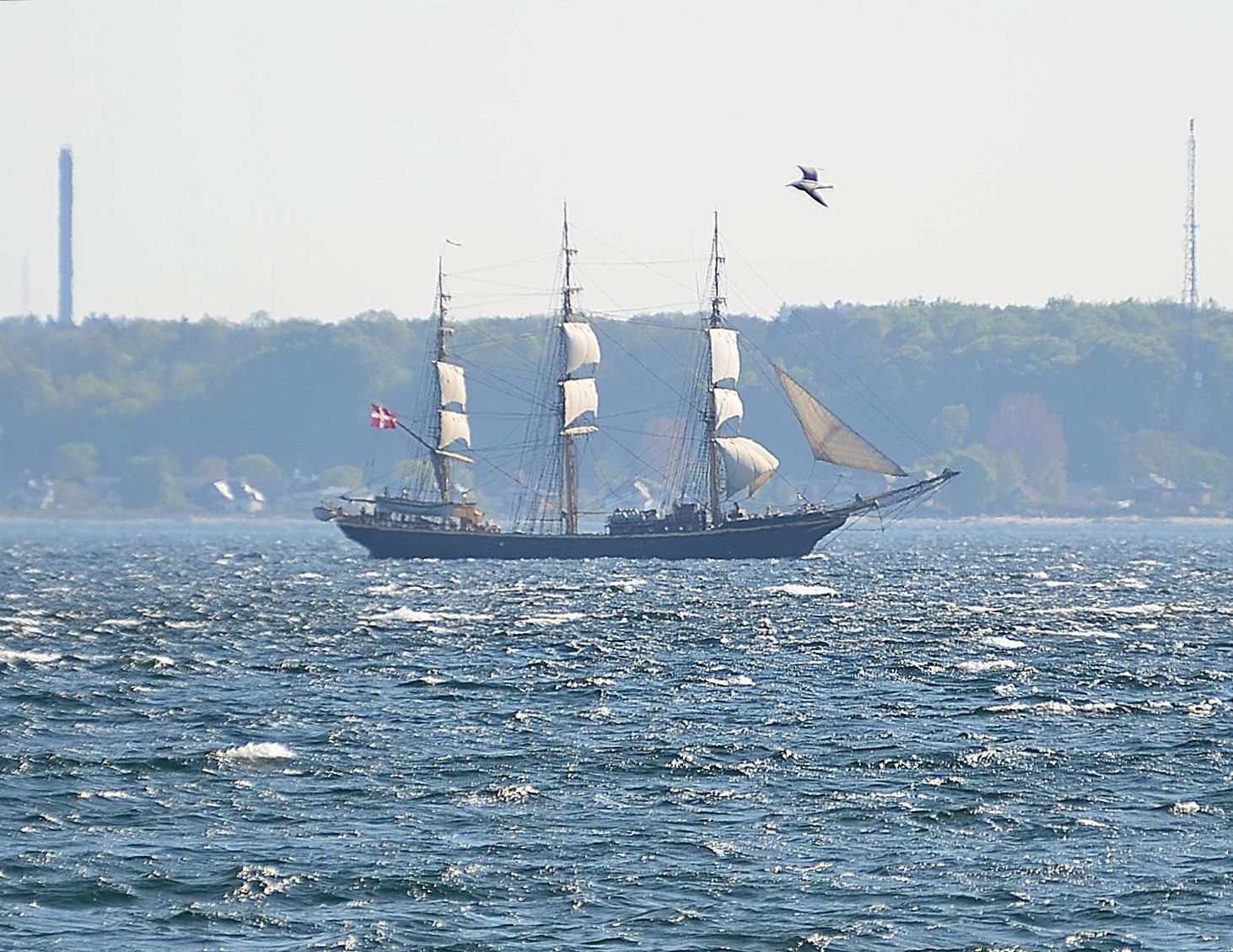 The Things I Enjoy: Danish sail training ship Georg Stage "racing" with ...