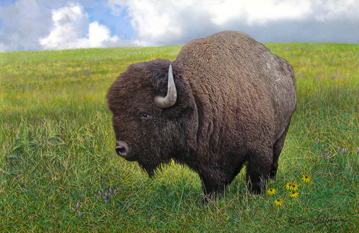 Prairie Hill Farm Studio: Prairie Monarchs