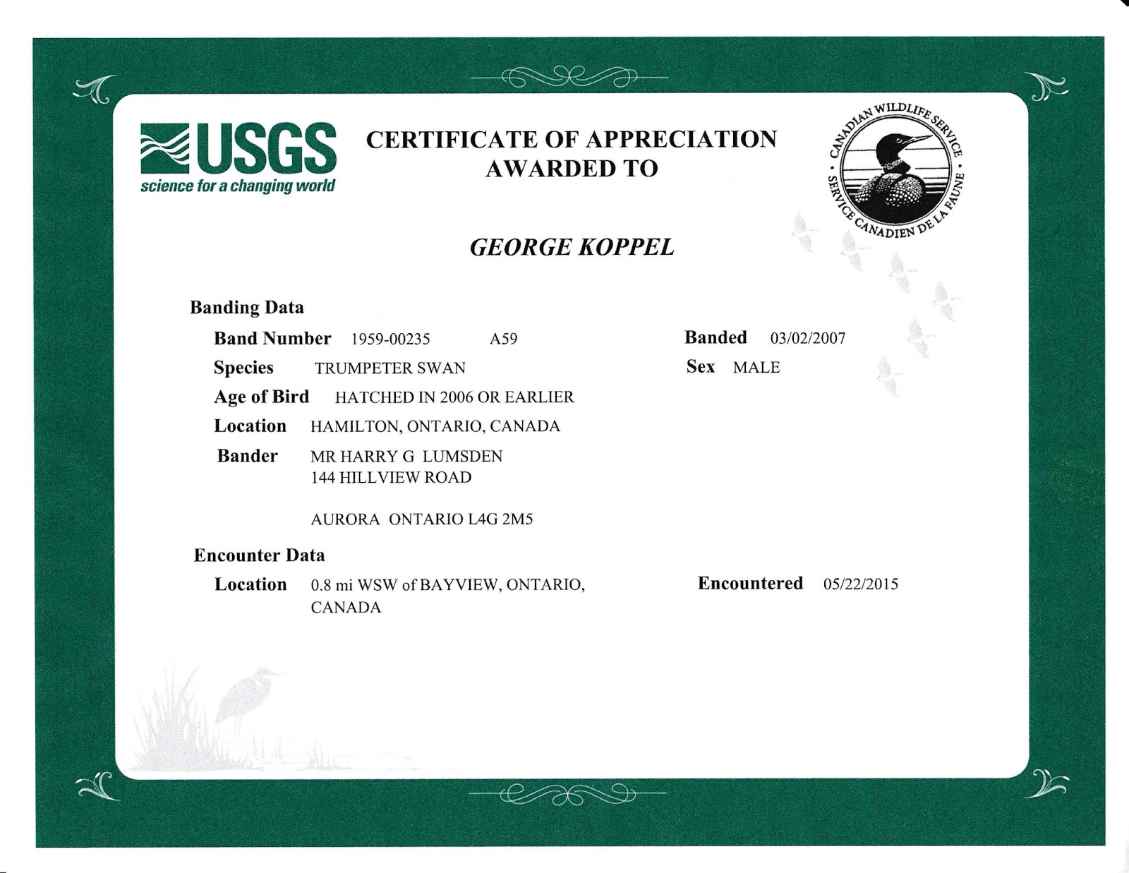 Bird & Travel Photos, Birding Sites, Bird Information: TRUMPETER SWAN ...