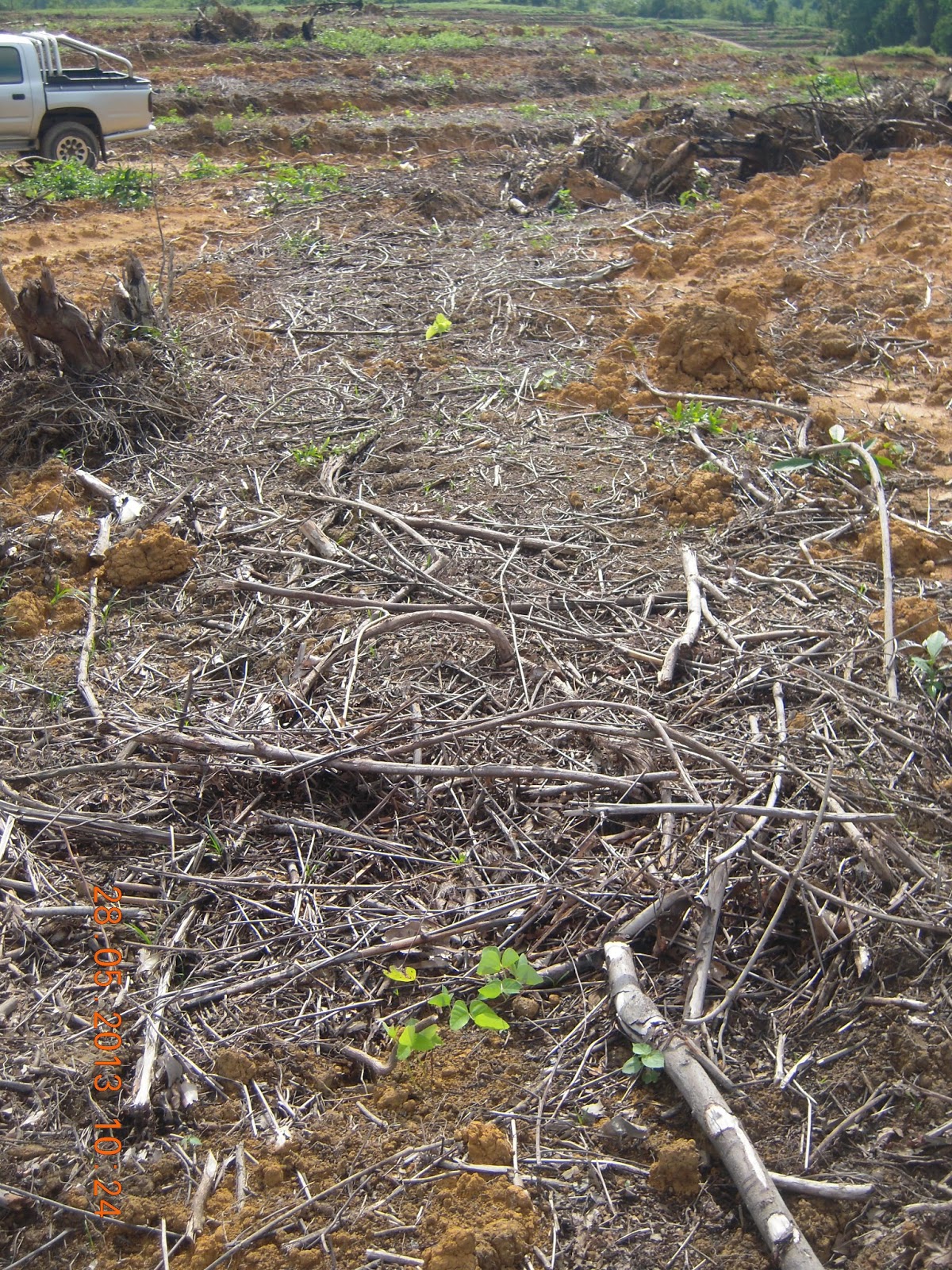 KOPERASI KAKITANGAN FELCRA: KONTRAK PERTANIAN AM TANAM SEMULA GETAH DI ...
