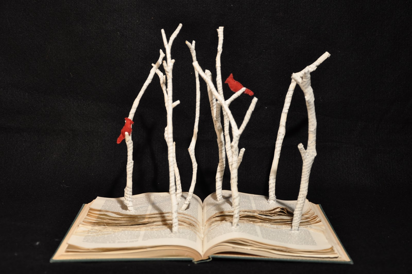 Paper Trees | Olivia Migacz Photography