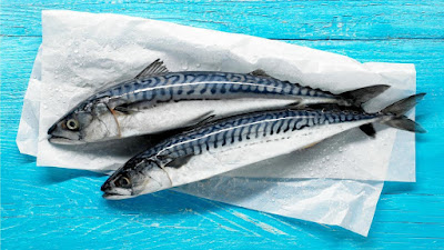 Mackerel Fish Live Characteristic Information - Horse Mackerel Fish ...
