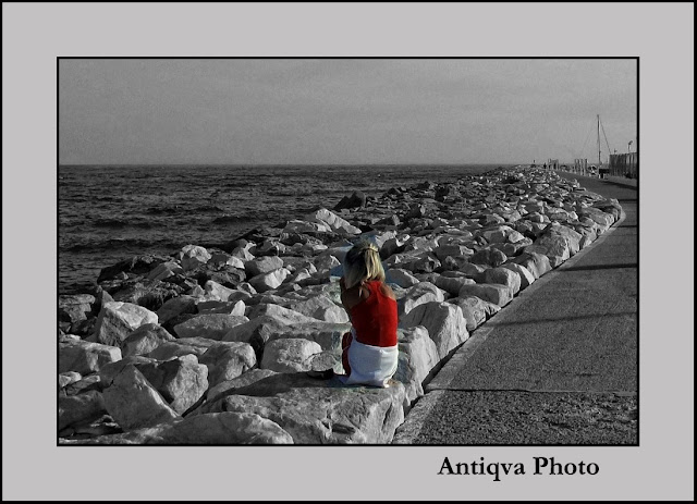 El Halcón de Altaír