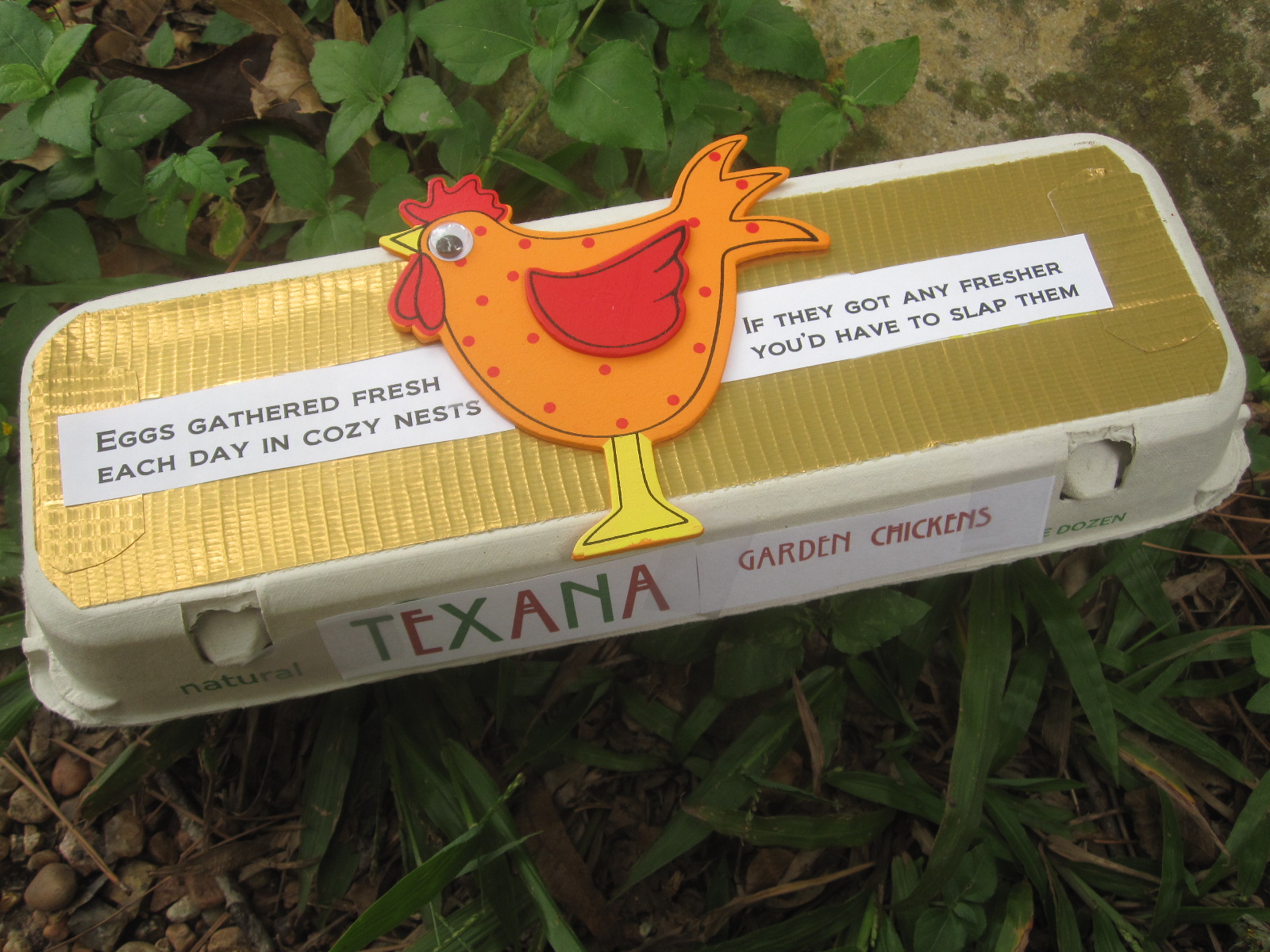 Tropical Texana: MY TROPICAL TEXANA EGG CARTON DESIGNS