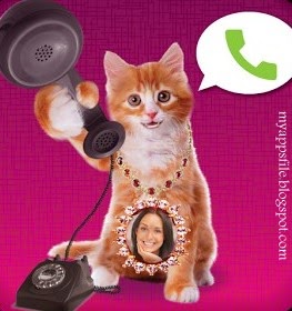 Cat Caller v2.0 apk Free Download | Apps Garden