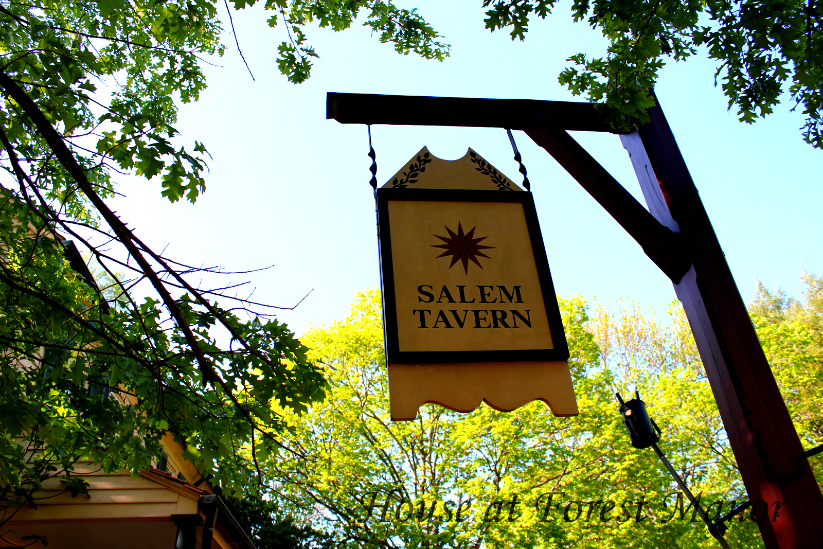 House at Forest Manor: Wisteria in Old Salem