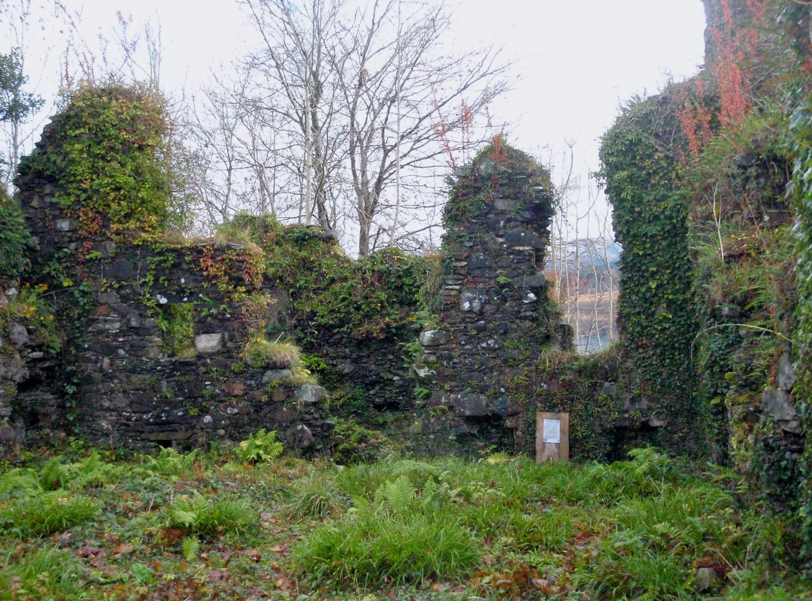 Jurassic's Blog.: Loch Awe and the Lower Orchy.