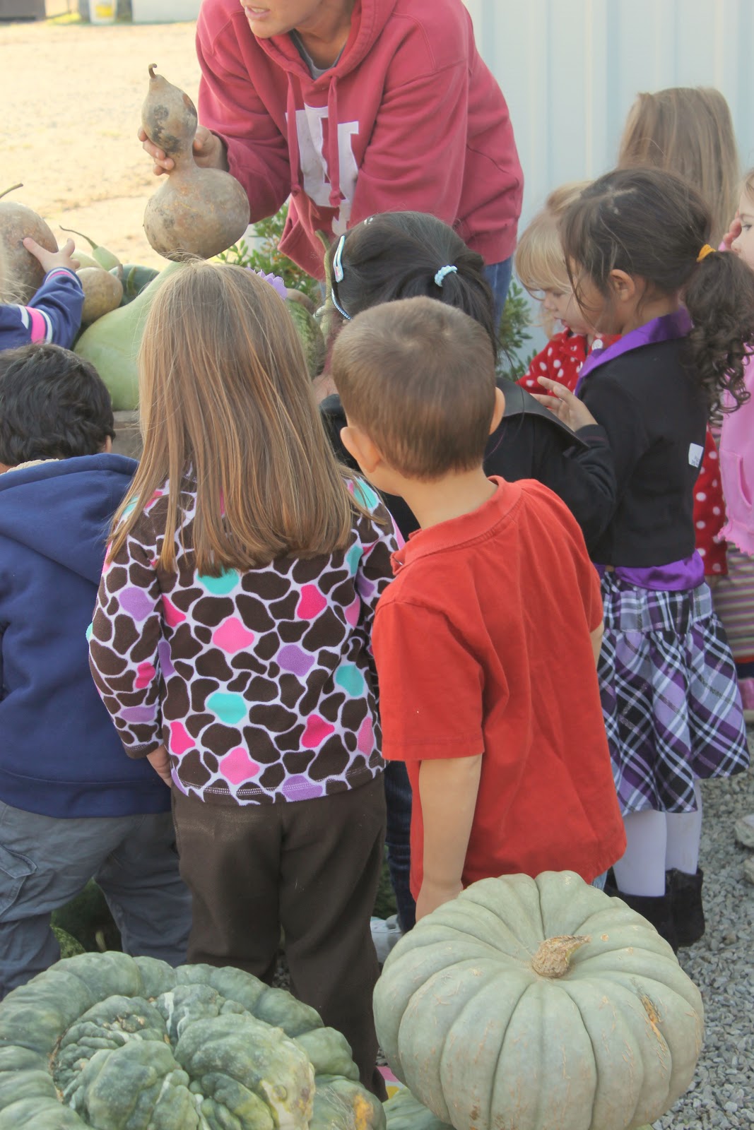 Arrows Sent Forth: Hackman's Farm Market