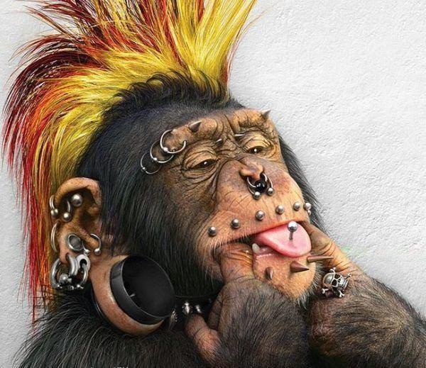 mono mongo: junio 2013