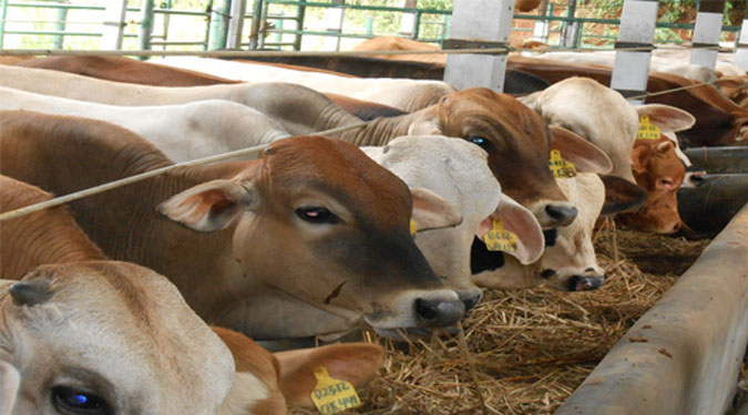 WASPRO SYARIAH - 081617704080