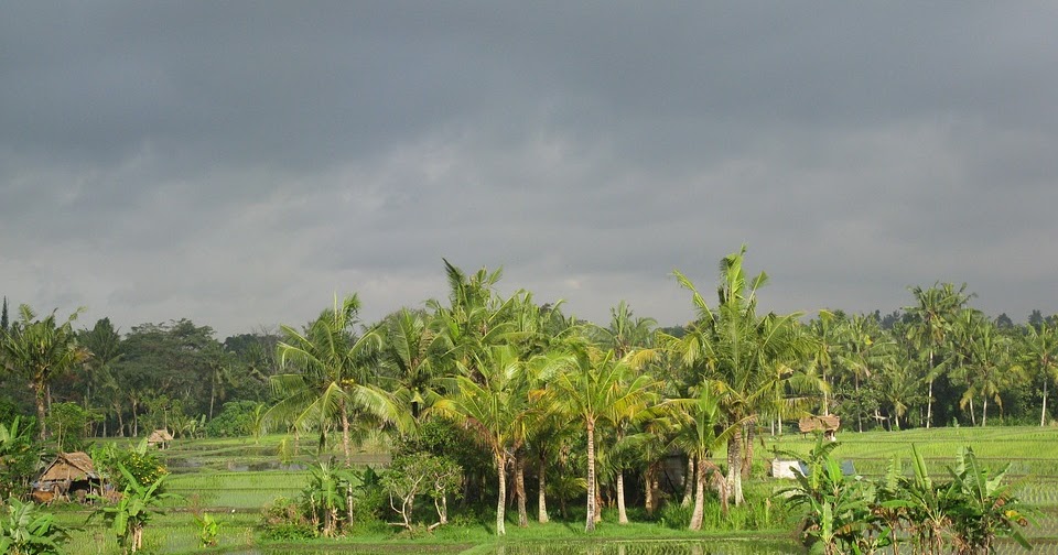 Klasifikasi Iklim Tipe Oldeman | Gurugeografi.id