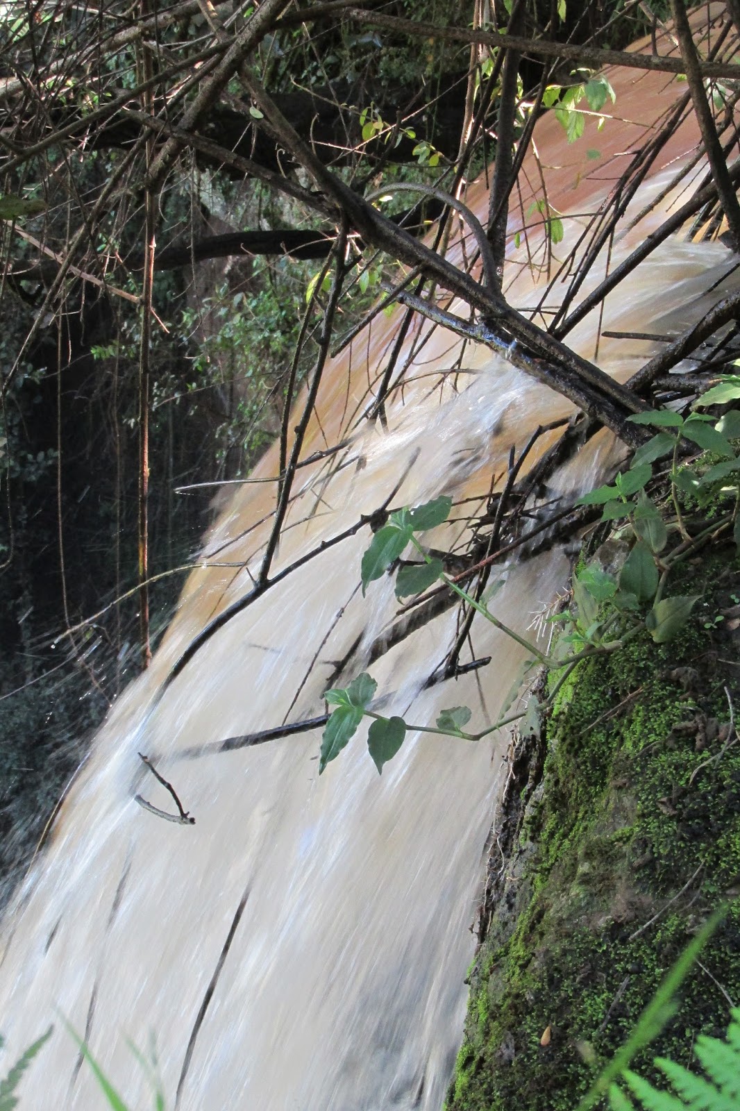 Kenya Klippings: Eldama Ravine