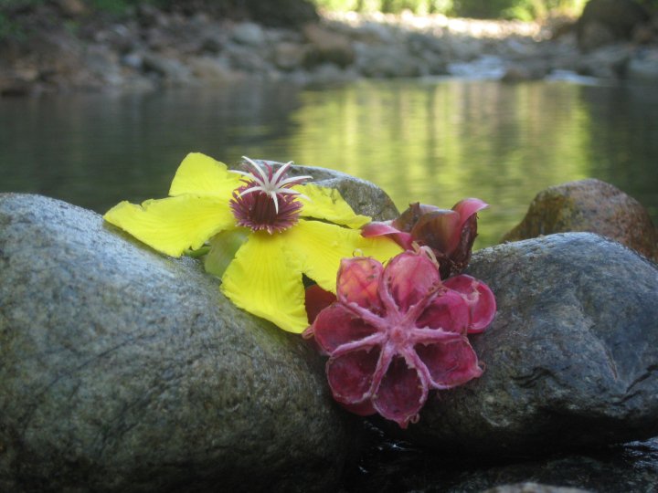 AS SEEN ON TV By Stanley Palisada