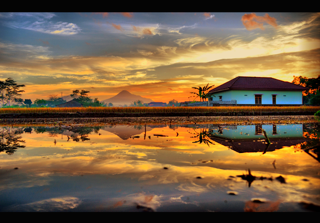 SUNSET DI SAWAH BELAKANG RUMAH | DIARY FOTOGRAFI