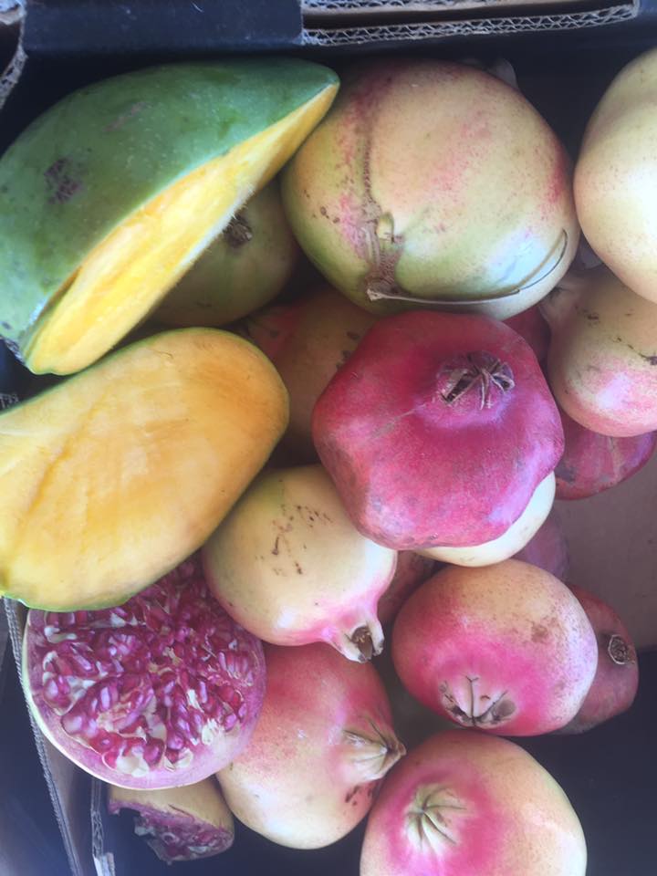 umiyumi2 : our life in perth, WA: Fruit Picking @ Valley Fresh Produce