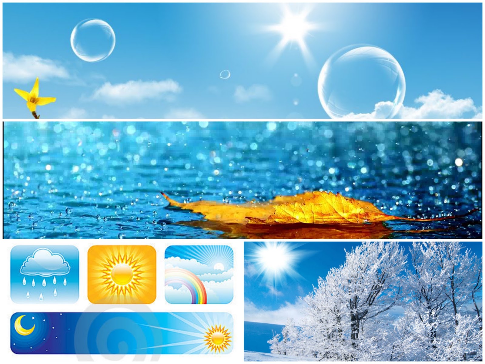 INFOGRAPHIC: WEATHER