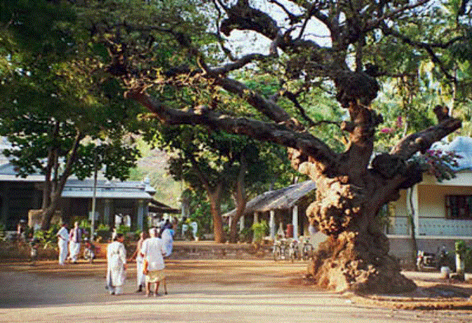 Advaita - Non-duality: Om! The study of spiritual books and the power ...