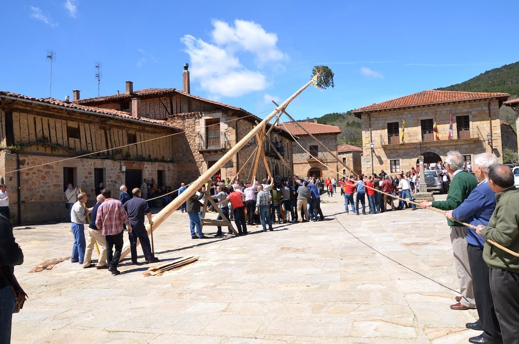 PELENDONES, Celtíberos y otras hierbas: TIEMPO DE PINGAR EL MAYO