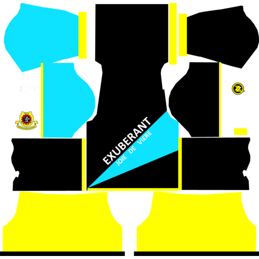 CUSTOM DLS 2016 KIT: 2016