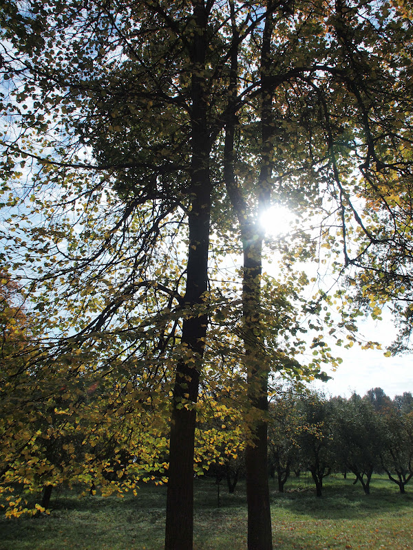 я не понедельник: Горки Ленинские - A Day Out At Lenin's Dacha