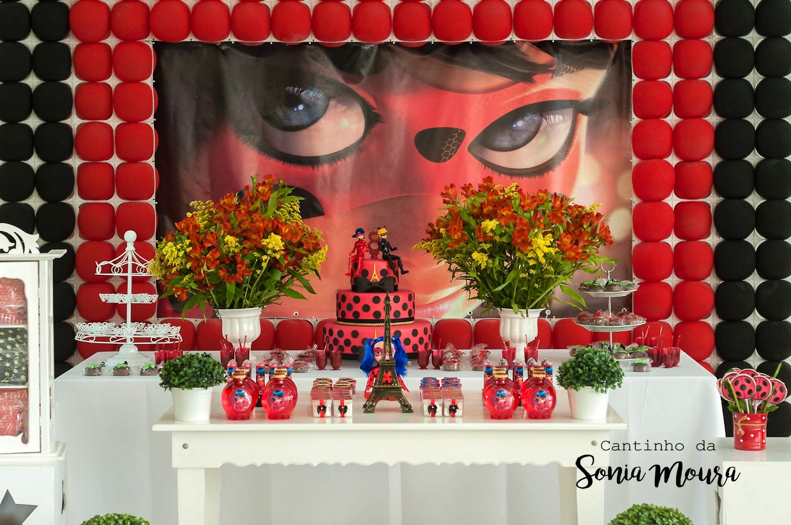 Festa Ladybug: Ideias para sua decoração da festa - Cantinho da Sonia Moura