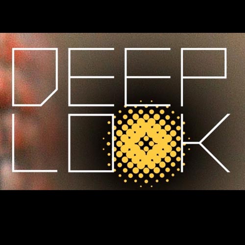 Teacher Librarians: Bridging Theory and Practice: Website Review: Deep Look