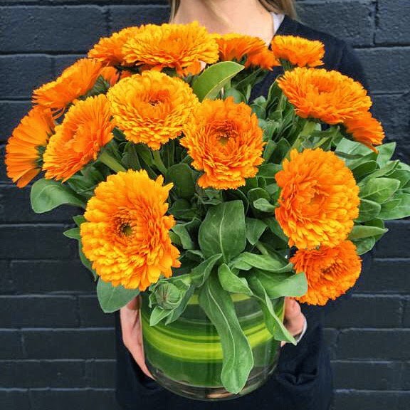 Urban Flower: Daily Inspiration #2