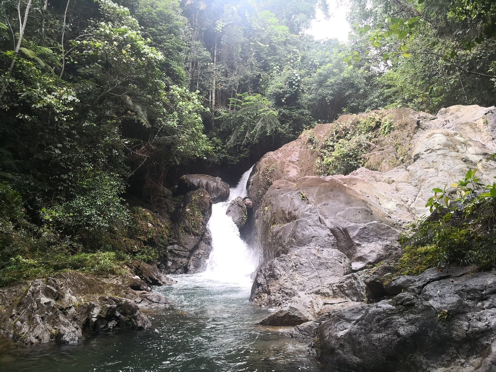 AZLAN RUMADI: HUJUNG MINGGU DI ECO-TOUR JUNGLE TRACKING WATERFALL SEBAT ...