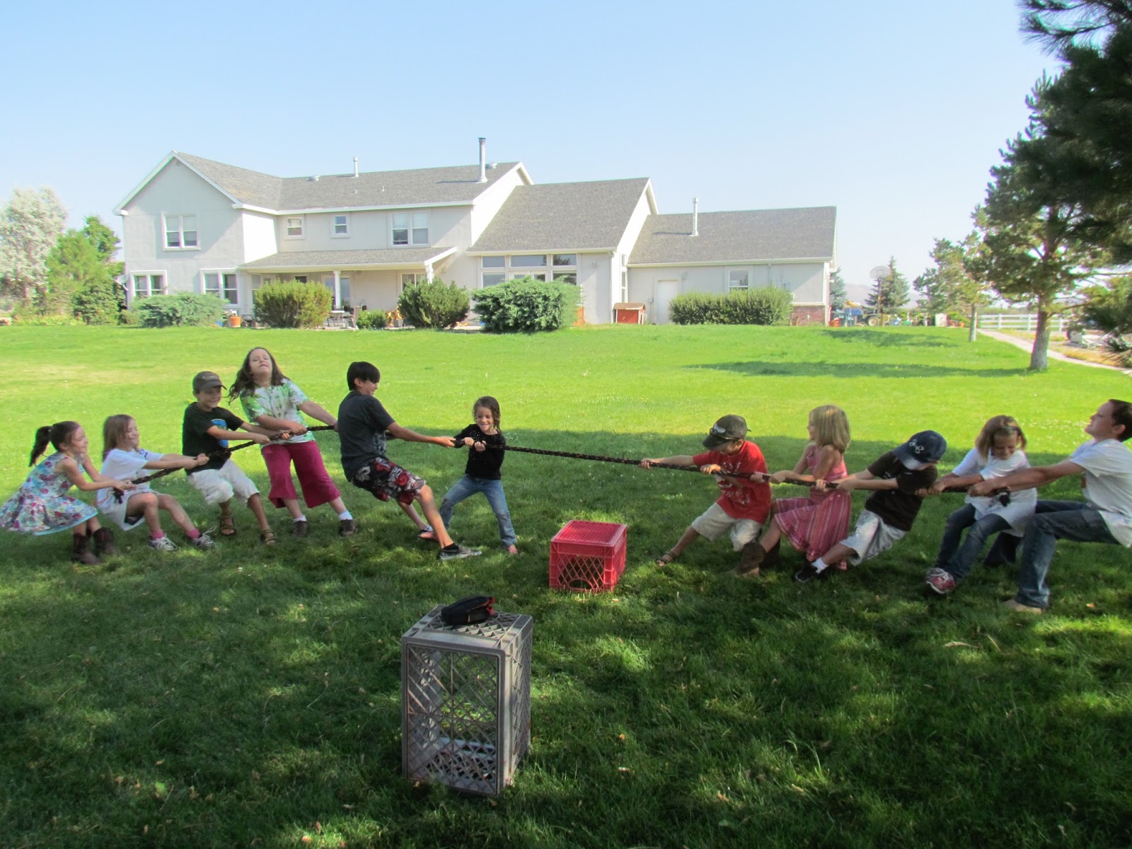 Andelin Family Farm: Farm Camp FUN!