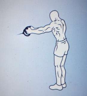 Back Flyes With Resistance Bands |back exercise - Gym And Fitness