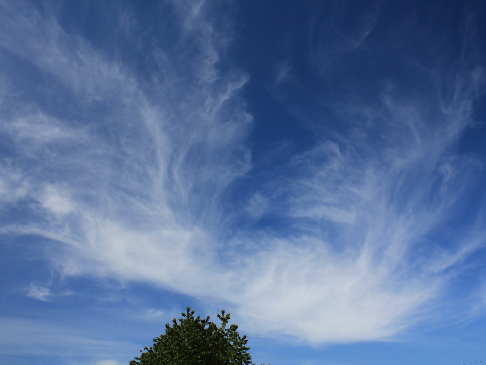 Cirrus Intortus Cloud