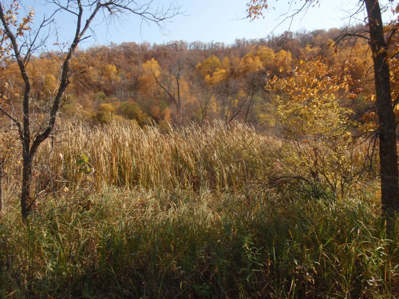Take a Hike: Walhalla, North Dakota