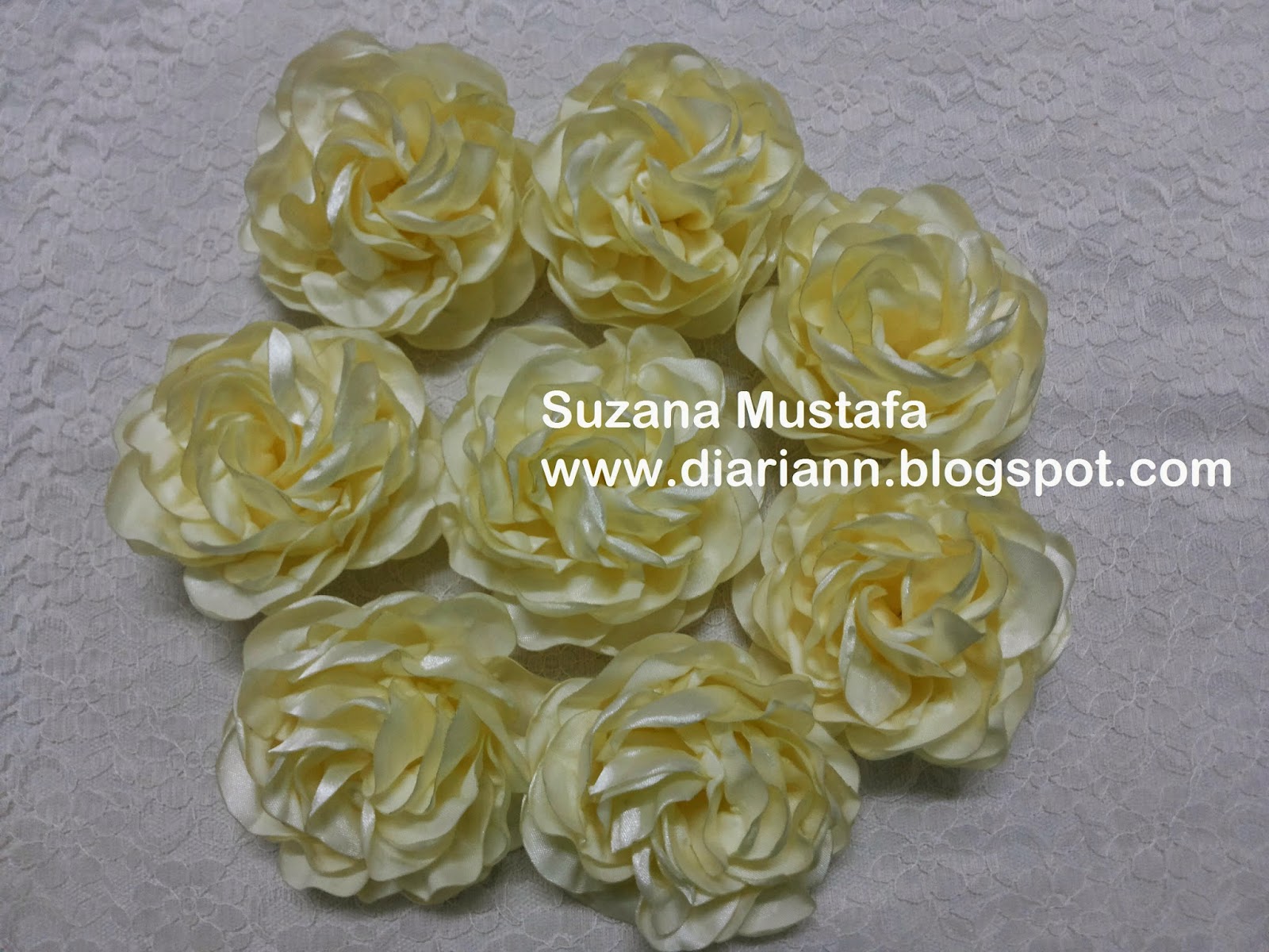 Suzana Mustafa: MY WORK IN PROGRESS - AUGUSTA ROSE