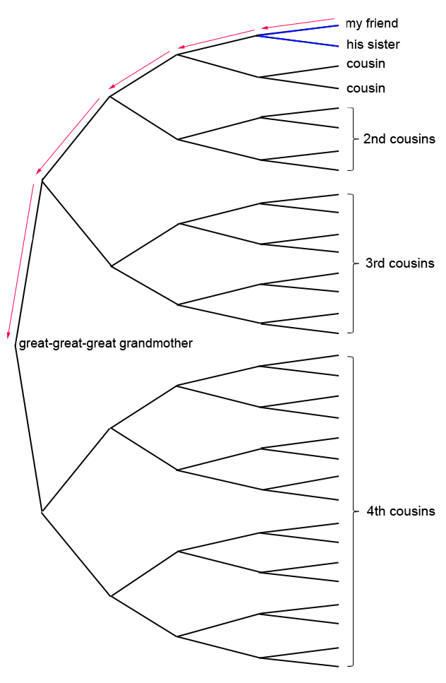 Grumbleweed: Evolution For Dummies - Part 3
