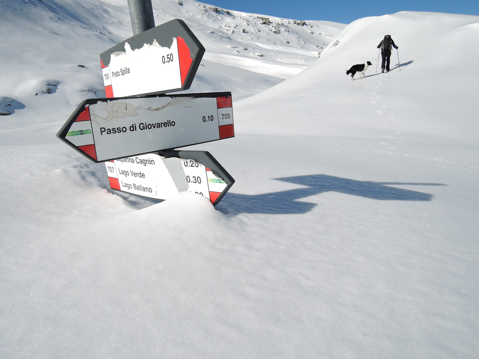 Piccoli Sentieri: 2019