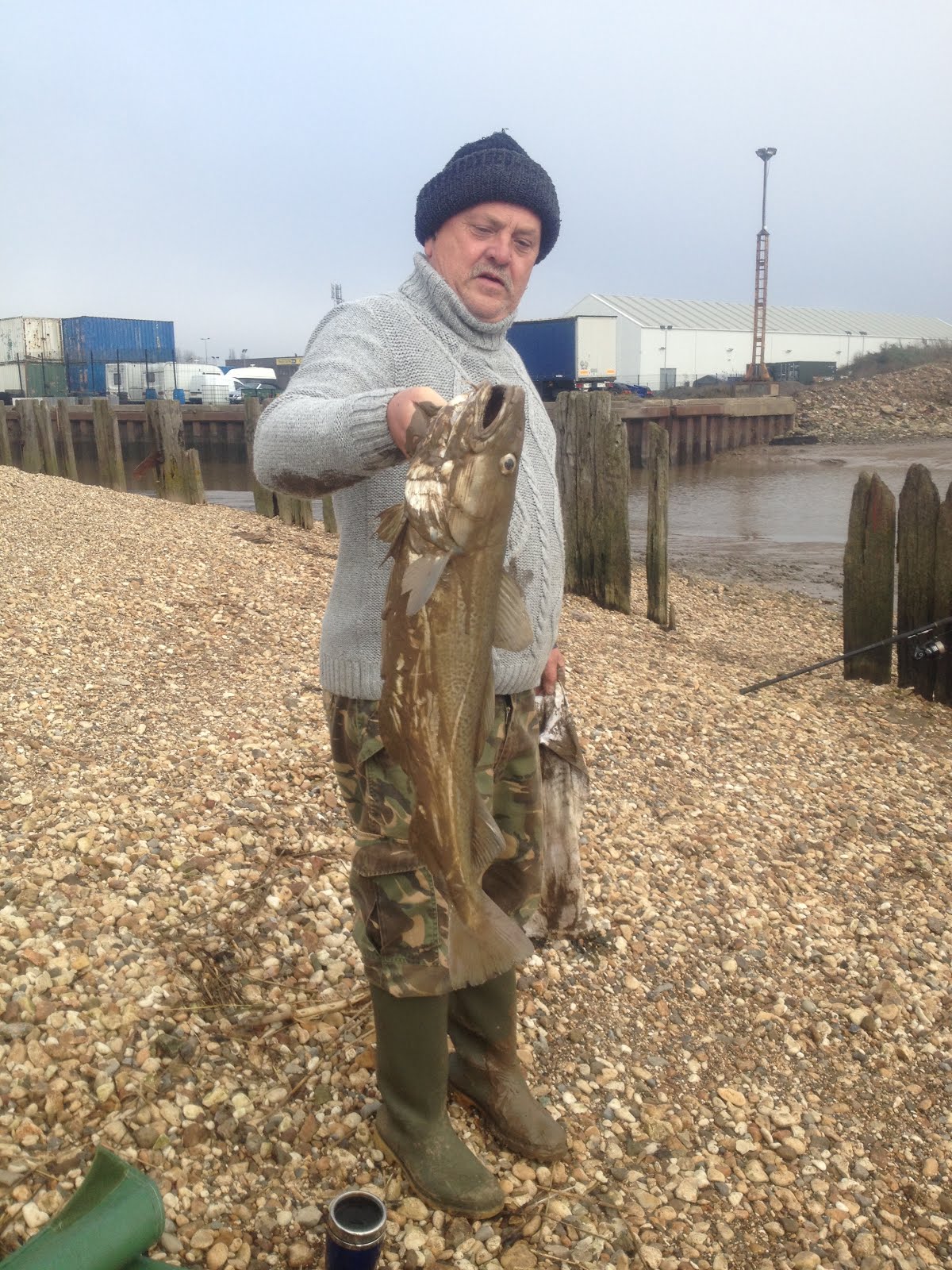 December 2015 Fish of the Month Competition - River Humber Cod