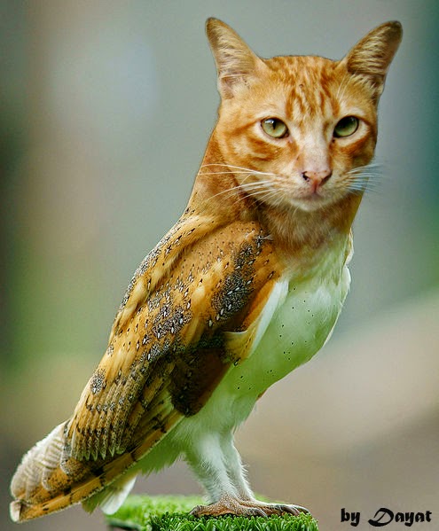 Cerpen Horor - Hantu Berkepala Kucing - Kumpulan Cerpen