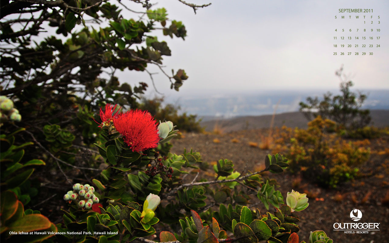 Impress Moment: SePTeMBeR 2011 DeSKToP CaLenDaR WaLLPaPeR