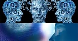 knowledge harvesting and success factors