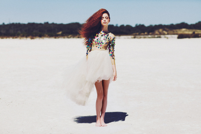 glittering heads dream.: golden bird of the sun.